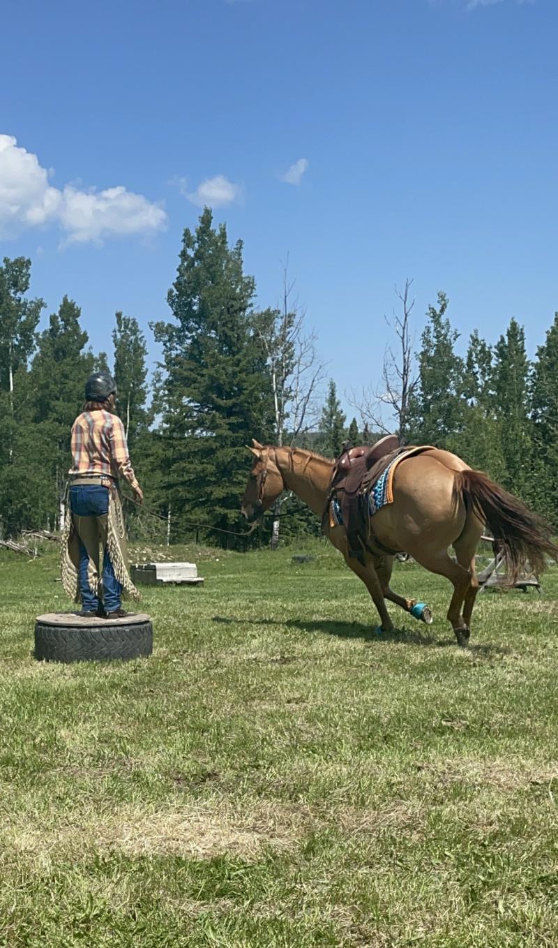 Home - Canadian Cowboy Challenge