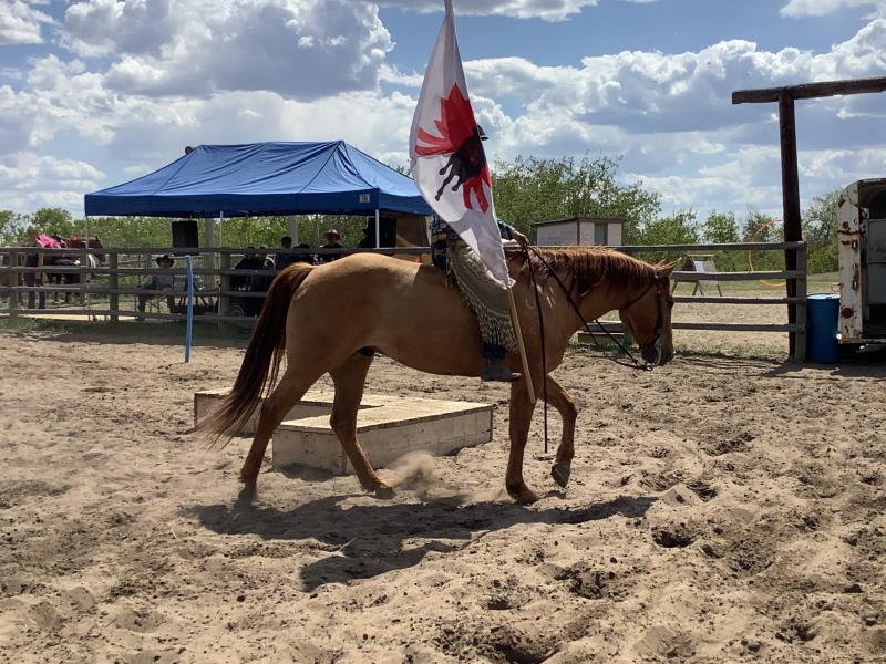 Home - Canadian Cowboy Challenge