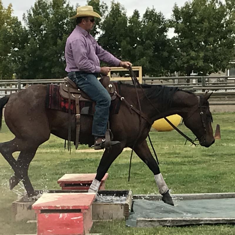 Home - Canadian Cowboy Challenge