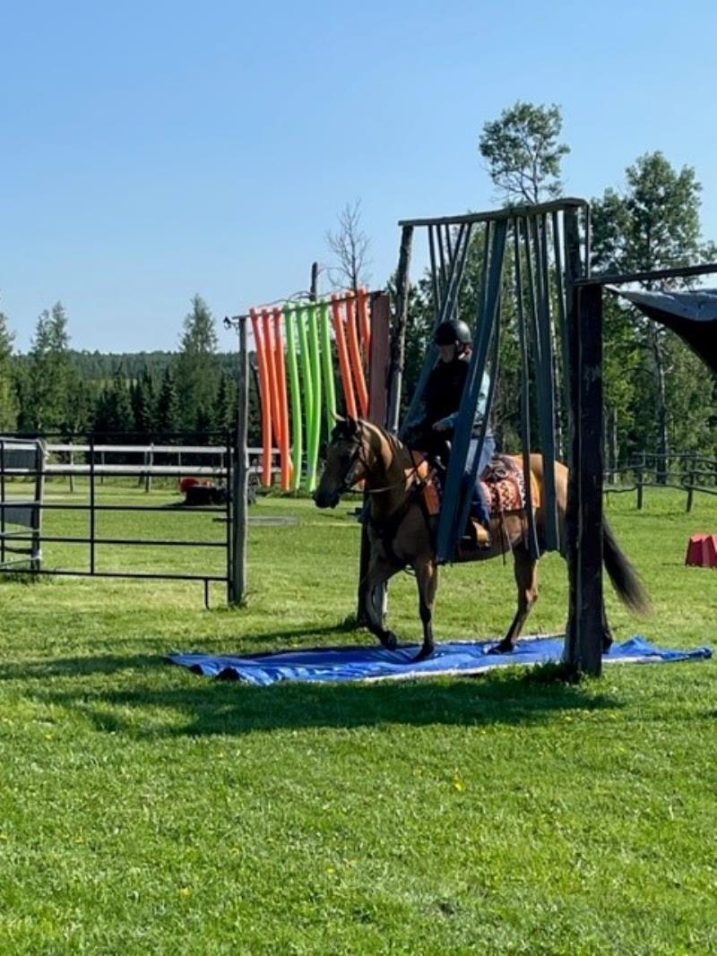 Home - Canadian Cowboy Challenge