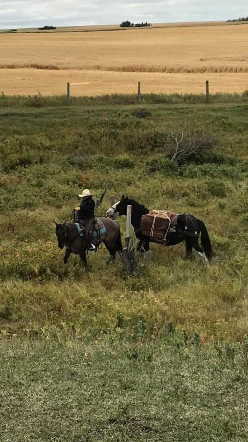 Home - Canadian Cowboy Challenge