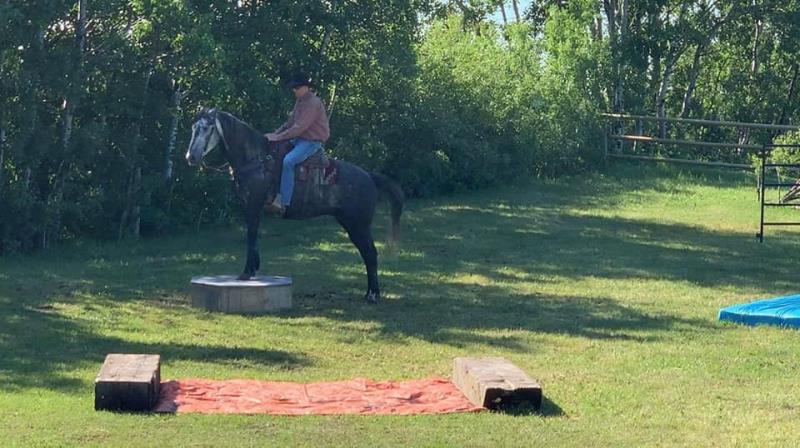 Home - Canadian Cowboy Challenge