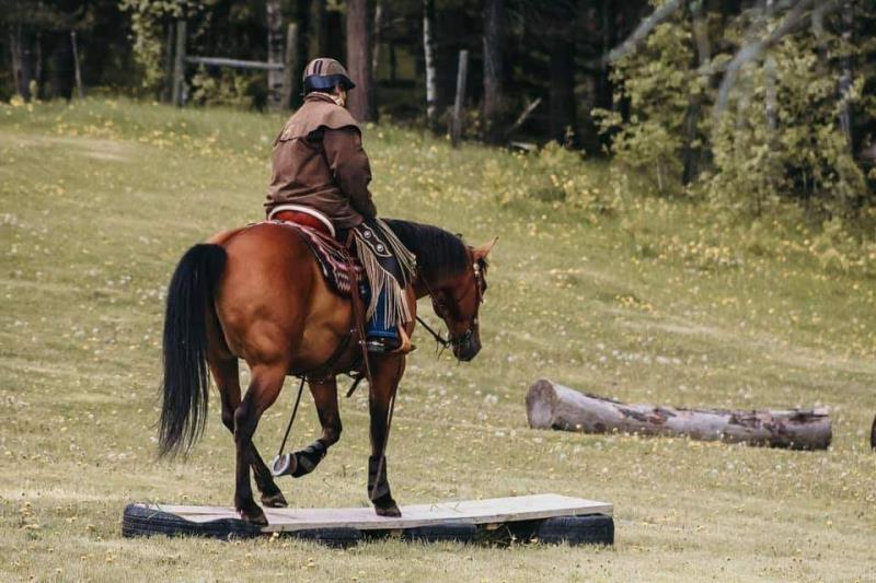 Home - Canadian Cowboy Challenge