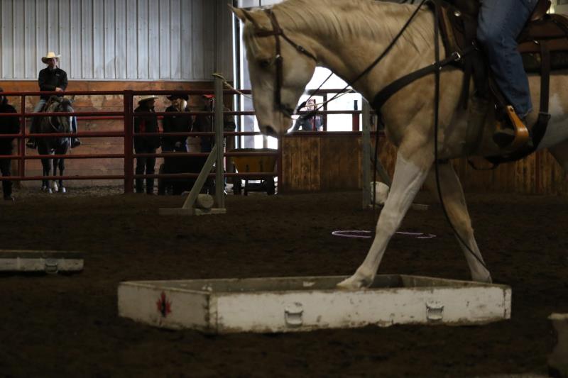 Home - Canadian Cowboy Challenge